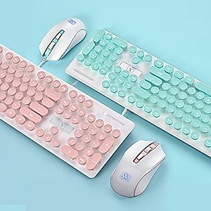 LexonElec Wired Keyboard and Mouse Combo,104 Keys White LED Backlit Punk Keycap Ergonomic Pro Gaming Keyboard,1600DPI 4 Buttons Optical Gaming Mice for Laptop PC (Mint Green)