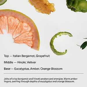 SALT & STONE Sensitive Skin Deodorant | Natural Deodorant Gel for Women and Men, Aluminum Free, Baking Soda Free, Vegan | Bergamot & Eucalyptus (2.6 oz)