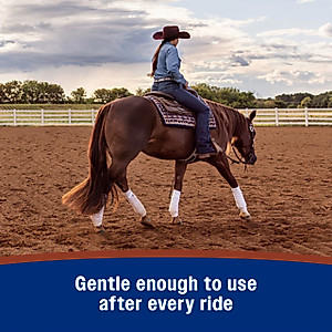 Farnam Leather New Easy-Polishing Glycerine Saddle Soap and Leather Saddle Cleaner, Protects and Preserves Leather, Cleans, Conditions and Polishes, 32 Oz.