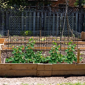 AGTEK 34" x 48" Foldable Cucumber Trellis with Garden Stakes and Zip Ties Plant Support A Frame Metal Trellis for Climbing Plants, Cucumber, Vegetable, Flowers