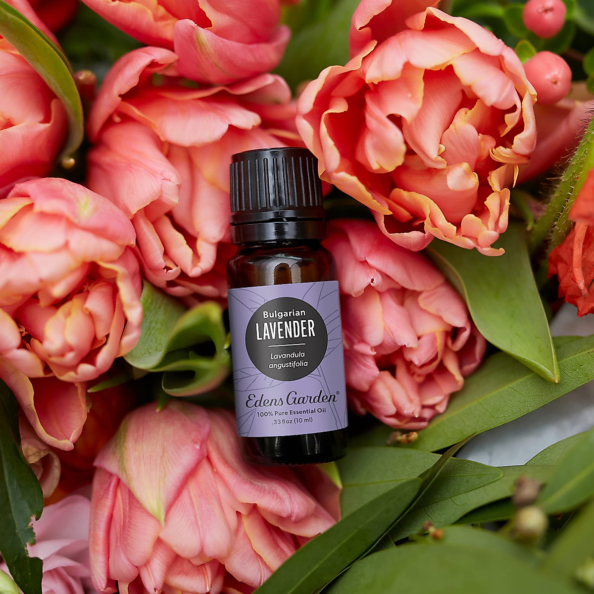 Edens Garden Lavender- Bulgarian Essential Oil, 100% Pure Therapeutic Grade (Undiluted Natural/Homeopathic Aromatherapy Scented Essential Oil Singles) 10 ml