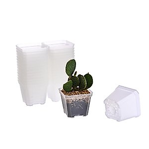 BangQiao 30 Pack Small 3.90 Inch Plastic Square Nursery Pot, Plant Starting and Transplant Planter Container with Drainage Hole for Seed Germination, Clear