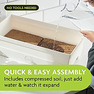 Miracle-Gro Garden to Go Mesclun Greens Mix - All-in-One Garden Kit