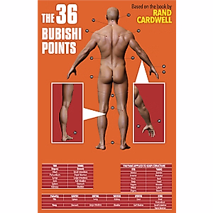 The 36 Bubishi Points, Pressure Points, Vital Points, Martial Arts, 8.5X11 folded or 11x17 unfolded