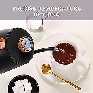 Nueve&Five Gooseneck Electric Kettle with Thermometer， Black Electric Kettle 1L with Auto Shut-Off，1000W Hot Water Kettle of Stainless Steel， Pour Over Kettle for Coffee & Tea