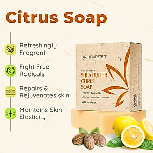 DR. HEMPSTER Hemp Soap Bar Variety 3 Pack - Activated Charcoal and Aloe Soap, Hemp and Mint Soap, Shea Butter and Citrus Soap - 5 oz Bars