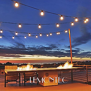 Lemontec Commercial Grade Outdoor String Lights with 15 Hanging Sockets - 48 Ft Black Weatherproof Cord Weatherproof Strand for Patio Garden Porch Backyard Party Deck Yard – S14 Black