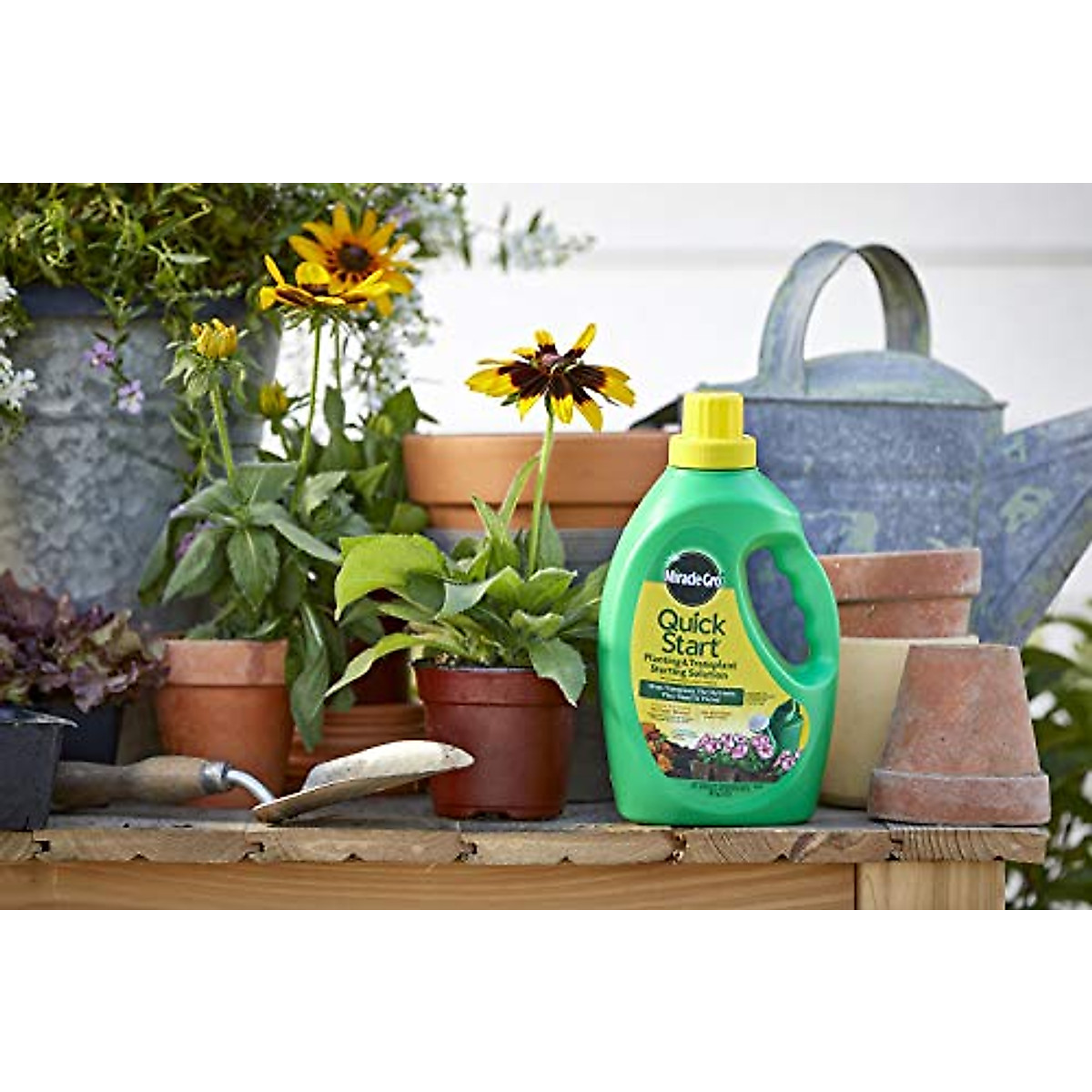 Miracle-Gro Quick Start Planting & Transplant Starting Solution 48 fl ...