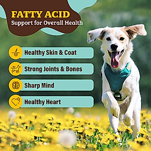 Natural Dog Company Senior Dog Supplements: Hip & Joint Chews, Coldwater Atlantic Salmon Oil & Super Seeds Granules for Joint Care, Immune Health & Aging Dog Support