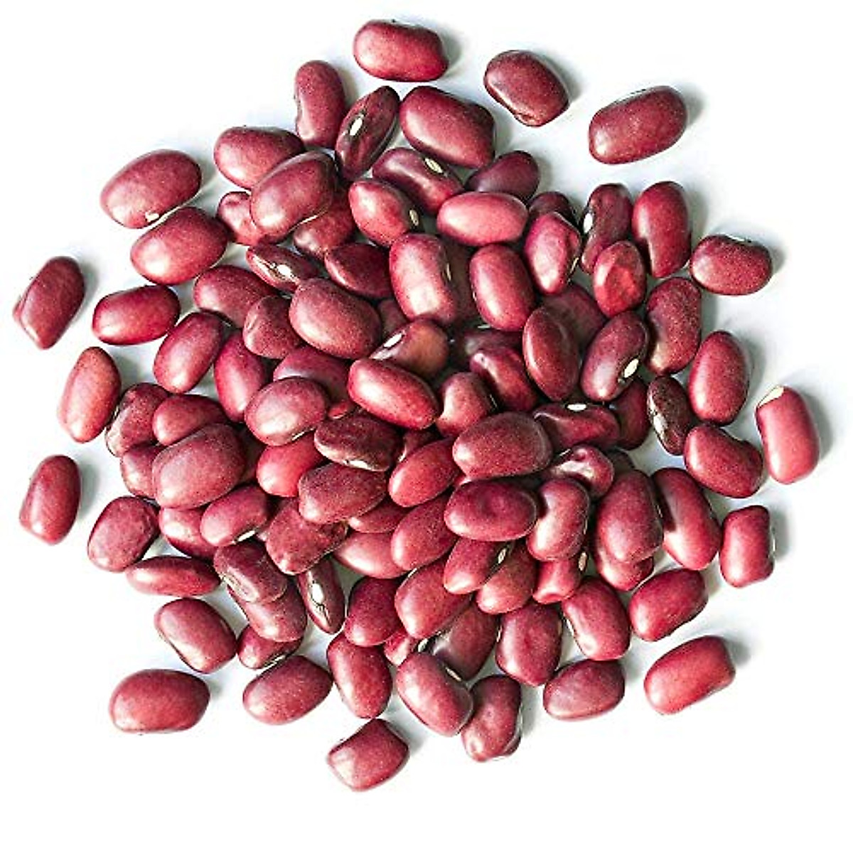 Food to Live Organic Adzuki Beans, 5 Pounds – Non-GMO, Sproutable, Whole Raw Dried Azuki Beans (Red Mung Beans), Vegan, Kosher, Bulk Organic Beans. Rich in Minerals, Dietary Fiber and Protein