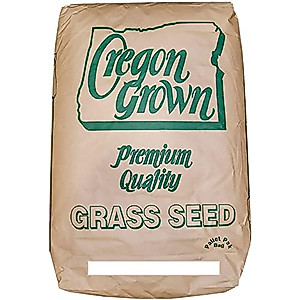 Annual Ryegrass Seeds for Planting - Premium Quality Rye Grass (1 Pound)