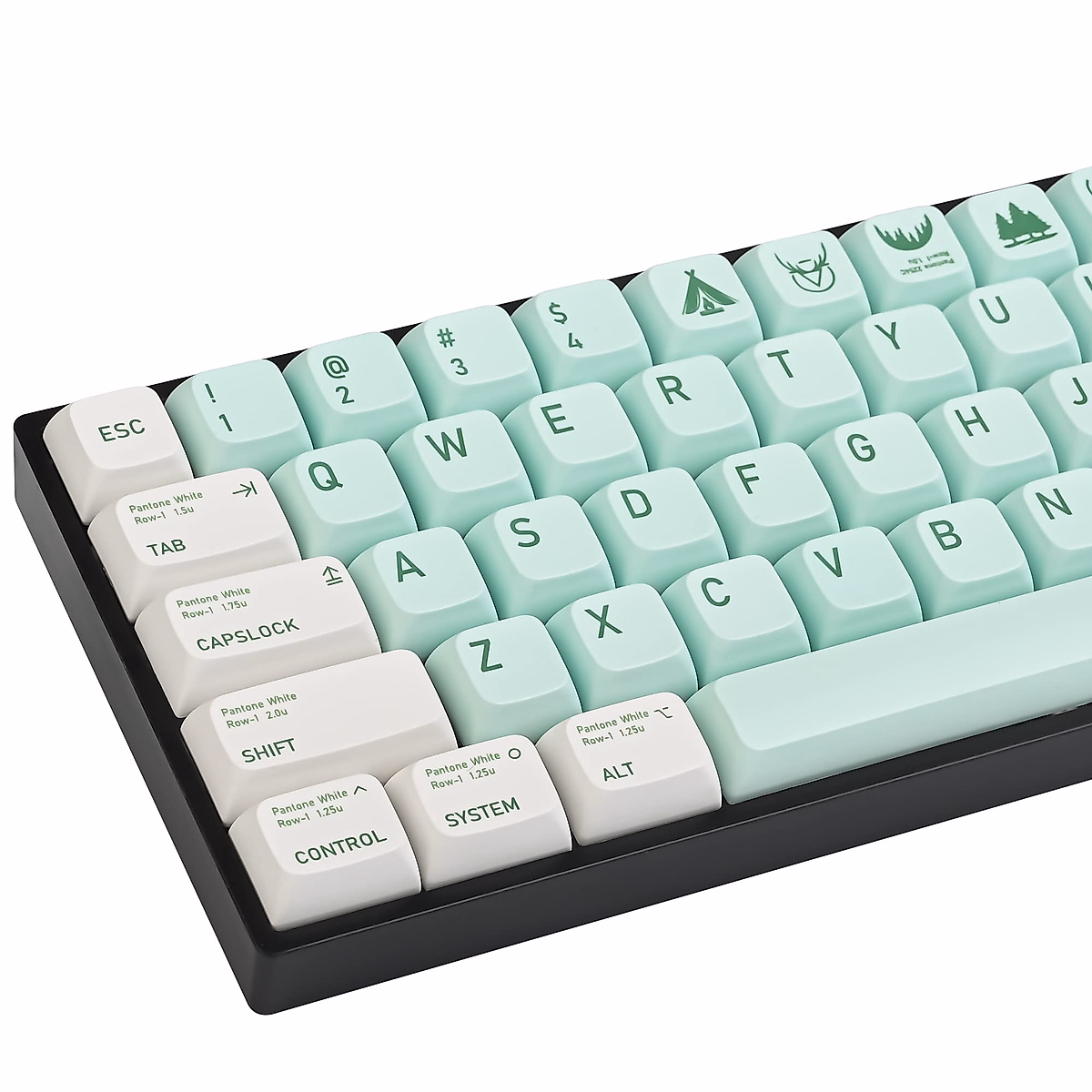 XDA PBT Key Cap, 139keys Dye Sublimation Forest Green Custome Key Cap Set for Cherry/Gatron MX switches 60 Percent/68/61 Gaming Mechanical Keyboard (Forest Green)