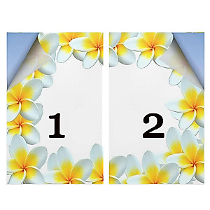 White Yellow Home Window Privacy Film Removable Frosted Glass Window Film for Home, Office, Bedroom, Shower, Hawaiian Frangipani Blossoms Exotic Glass Films 17.7Wx23.6L-inch x2 Pcs