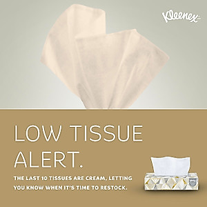 Kleenex Professional Facial Tissue for Business (03076), Flat Tissue Boxes, 12 Boxes / Convenience Case, 125 Tissues / Box, 1,500 Tissues / Case