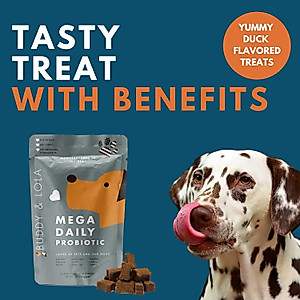 Buddy & Lola Dogs Chews for All Breeds and Sizes - Natural Dog Probiotics Improve Digestion, Help The Immune System, Settle an Upset Stomach Made in USA
