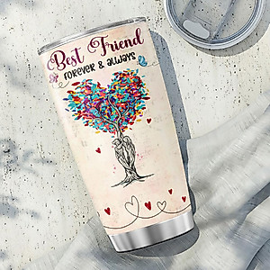 JENOIS Tumbler 20 Oz With Lid And Straw, Best Friend Friendship, Holiday and Christmas Gifts, For Women Tumblers