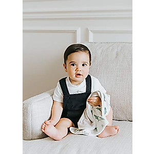 Copper Pearl 3-Layer Knit Security Blanket Set Sized 16" x 16" 2-Pack Pacific