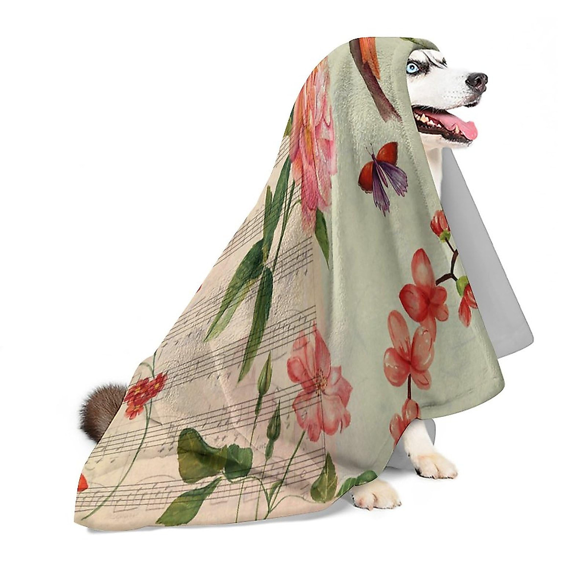 Delerain Bird with Sheet Music Flannel Fleece Throw Blanket 50"x60" Living Room/Bedroom/Sofa Couch Warm Soft Bed Blanket for Kids Teens Boys Girls All Season