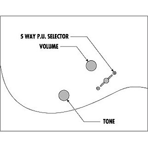 Ibanez S Standard 6-String Electric Guitar (Right-Handed, Dragon Eye Burst)