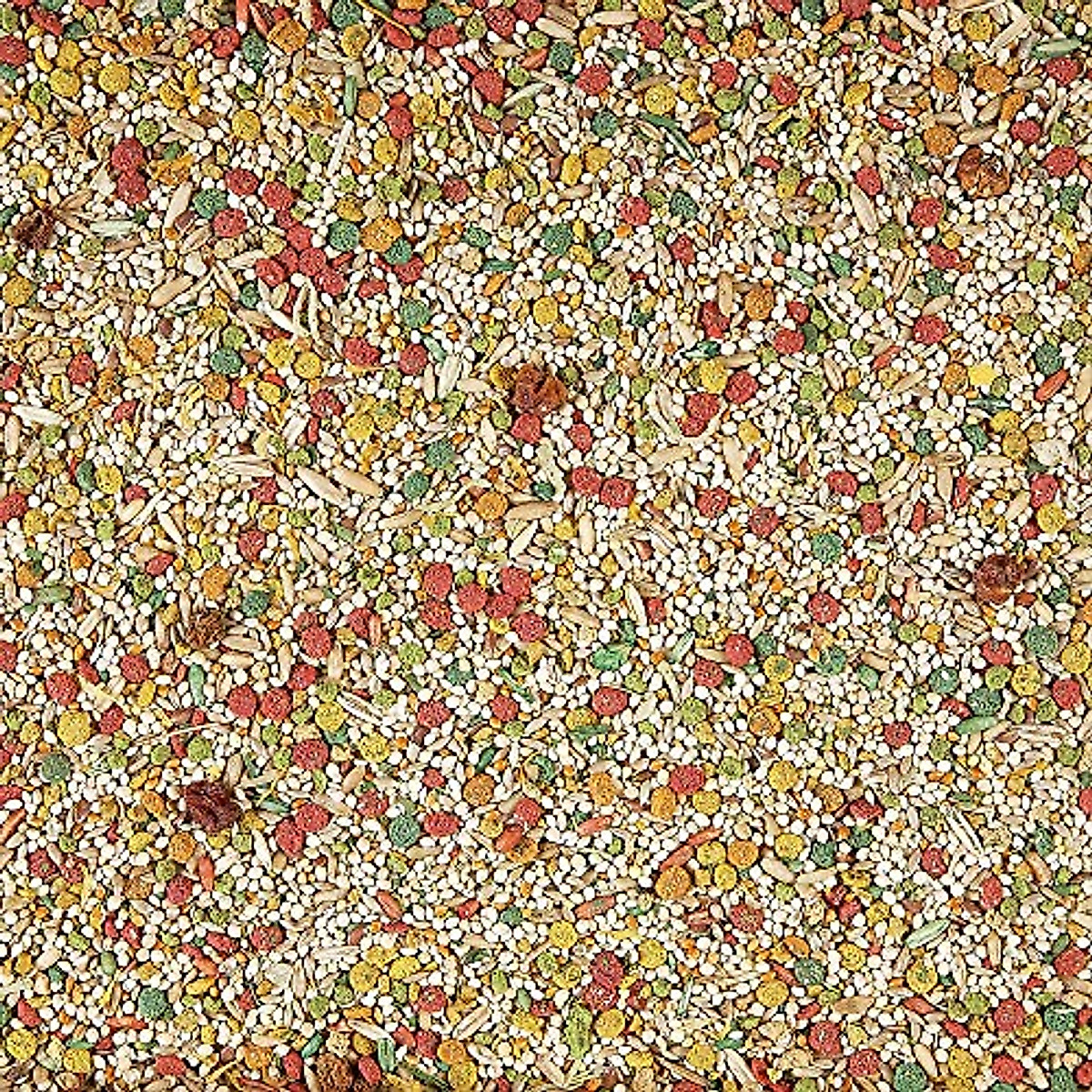 Vitakraft Vita Smart Gourmet Parakeet Food - Vitamin-Fortified - Daily Pet Bird Food 2 Pound (Pack of 1)