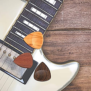 Yeshone 10 Pieces Exotic Wood Guitar Picks, 1 Guitar Picks Box Wooden Guitar Plectrums in African Red Sandalwood Chacate Preto Olive Wood Rosewood Maple Ebony Golden Sandalwood for Archtop Guitar