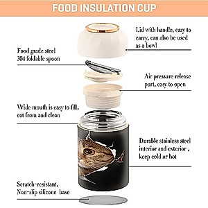 CUPADA Cat Funny Food Jar, Black Paper Hole Insulated Hot Food Jars Vacuum 17OZ with Folding Spoon for Work Trip Picnic Camping