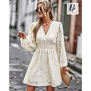 BebreezChic Women Dresses Cocktail with Lining Knee Length Long Sleeve Ladies Elegant Lace Smocked Short Dress 2023 Spring Summer Dresses, Beige XL