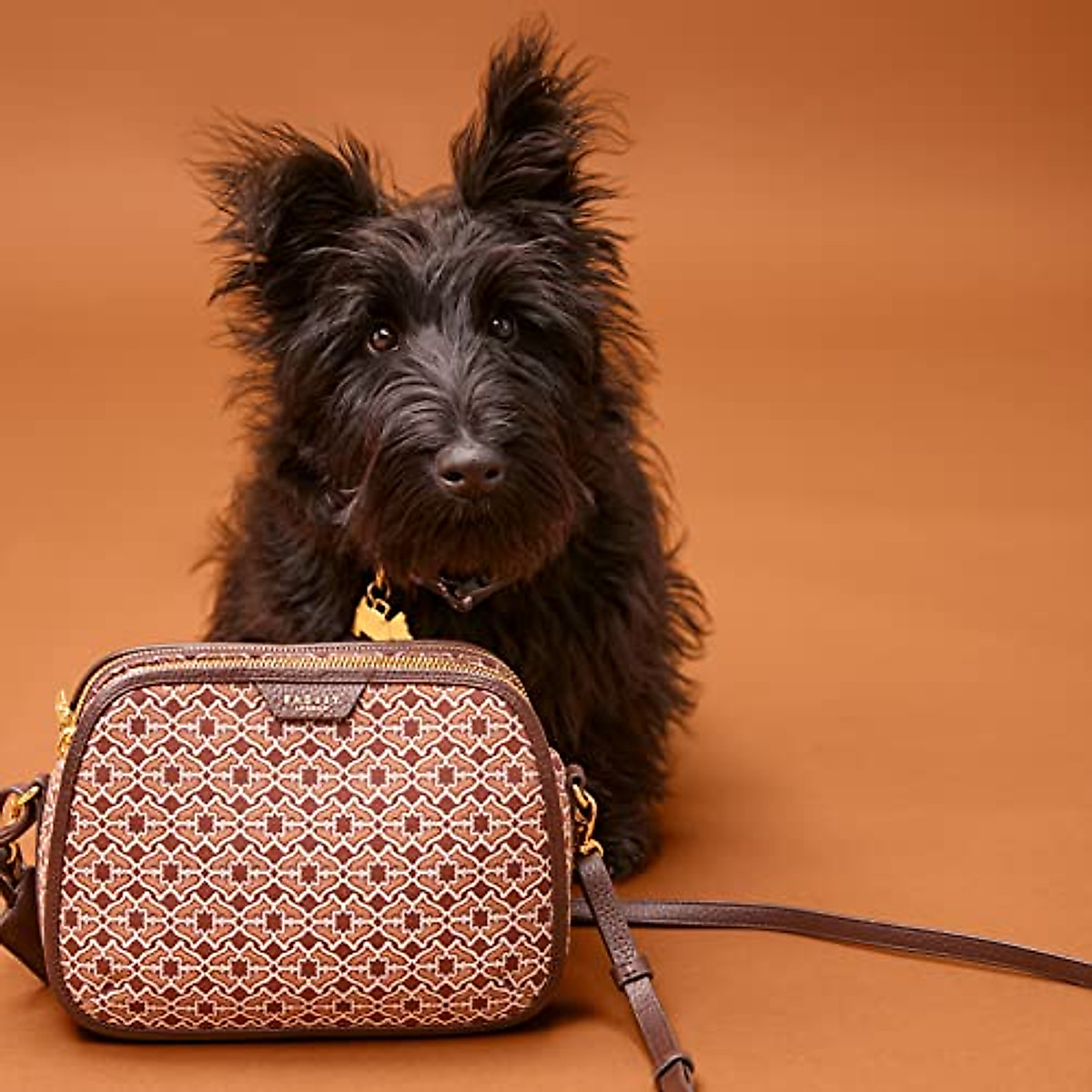 RADLEY London Dukes Place - Heirloom - Medium Ziptop Crossbody