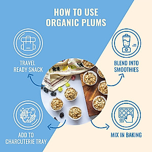 ORGANIC Prunes - Sunny Fruit - 40oz Bulk Bag (2.5lb) | Purely Dried Plums - NO Added Sugars, Sulfurs or Preservatives | NON-GMO, VEGAN & HALAL