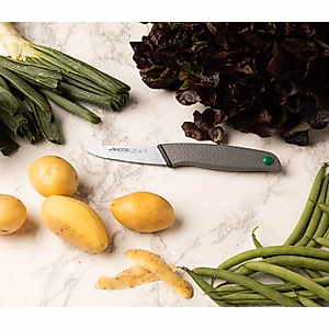 ARCOS Paring Knife 3 Inch Stainless Steel. Professional Kitchen Knife for Cut, Peel and Clean Food. Ergonomic Polyoxymethylene Handle and 80 mm Blade. Series Colour Prof. Color Grey.