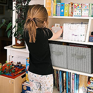 GRANNY SAYS Bundle of 2-Pack Hanging Shelves for Closet & 3-Pack Wardrobe Storage Bins