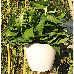 Jucoan 9 Pack Self Watering Hanging Planter, 5 Inch Dua-pots Lazy Flower Pot, White Plastic Wall Hanging Planter Pot with 9 Hooks for Garden Fence, Porch, Wall