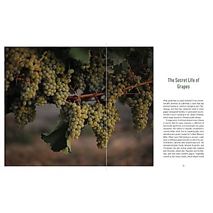 The New California Wine: A Guide to the Producers and Wines Behind a Revolution in Taste