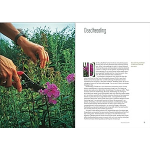 The Well-Tended Perennial Garden: The Essential Guide to Planting and Pruning Techniques, Third Edition