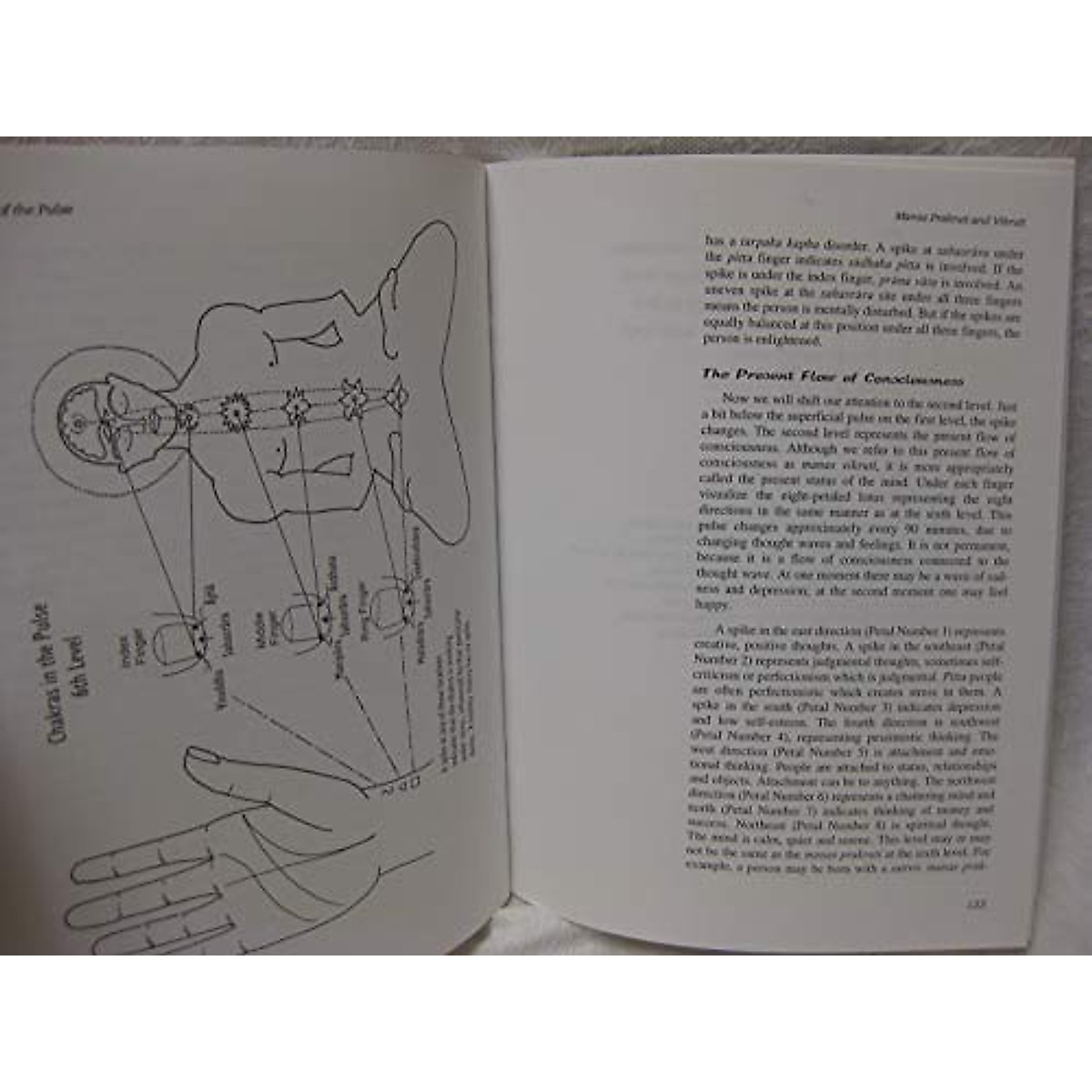 Secrets of the Pulse