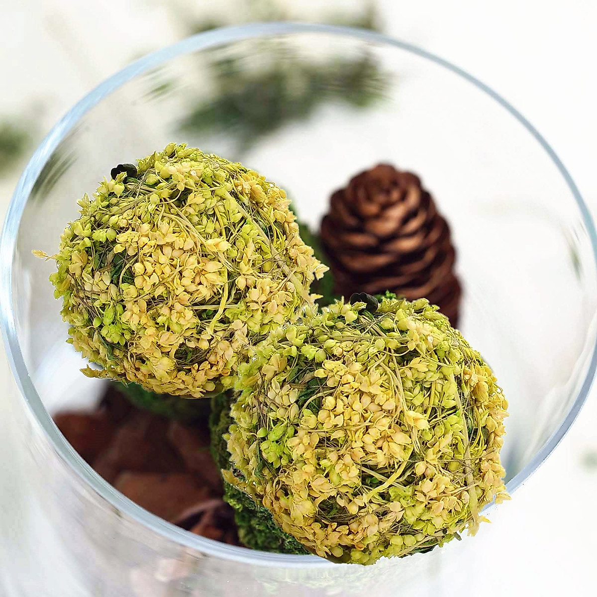 BYHER Natural Preserved Moss Hanging Ball Vase Bowl Filler for Garden, Wedding, Party Decoration (3.5"(6 Pack), Green)