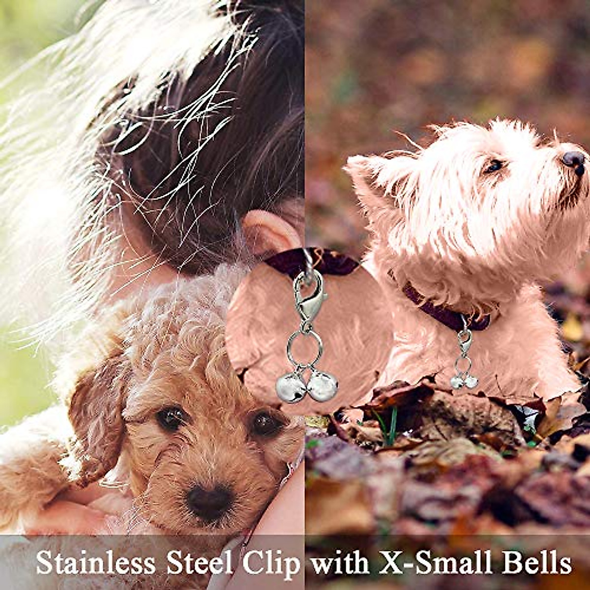 IVIA PET 4 Sets Cat Bell for Dog Collar Charm Training Pet Pendant Accessories with 2 Pack Stainless Steel Dog Tag Clips(2 X-Small Silver)