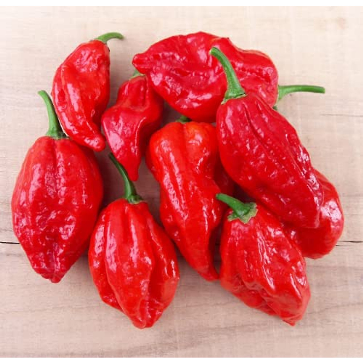 CHUXAY GARDEN Naga Morich Seed,Hot Pepper 20 Seeds Superhot Chilli Red Vegetable Unique Flavor Taste Great for Cooking