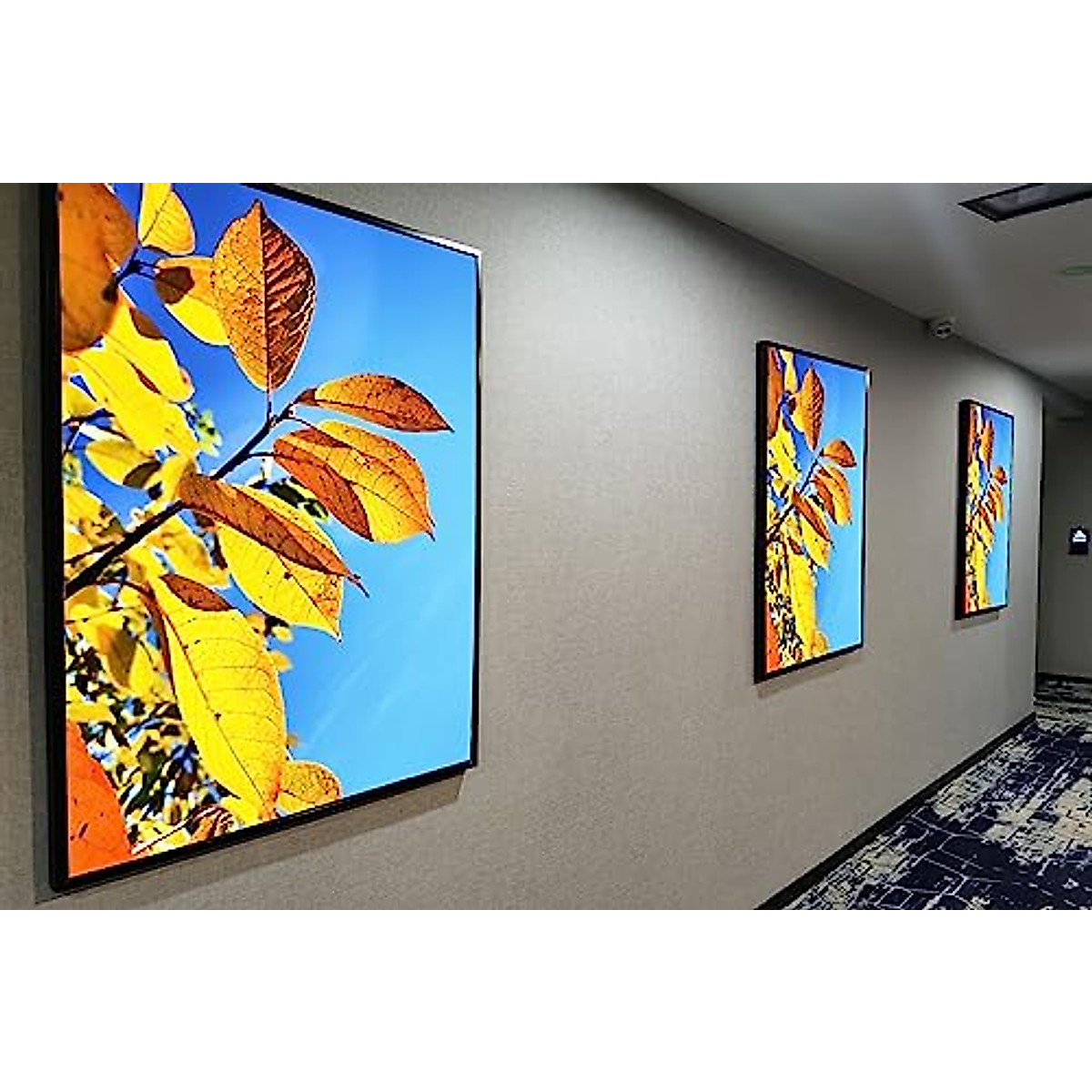 Aynoo 11x17 Picture Frame Black for 11x17 or 9x15 inch Picture Poster Photo Frame Mat Opening 9x15 Memorabilia, Certificates, Awards, Medals and Photos Wall Mounting Frame (P8L)