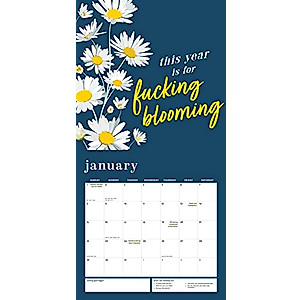 2023 She Believed She Could So She F*cking Did Wall Calendar: Get Sh*t Done & Keep Persisting (Inspiring Monthly Calendar, White Elephant Gag Gift)