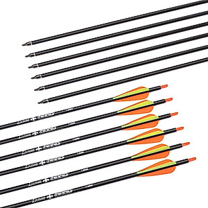 Hunter Ian Archery Carbon Arrow Hunting Arrows 28 Inch with 100 Grian Removable Tips for Compound Bow & Recurve Bow Practice Shooting (Pack of 12)