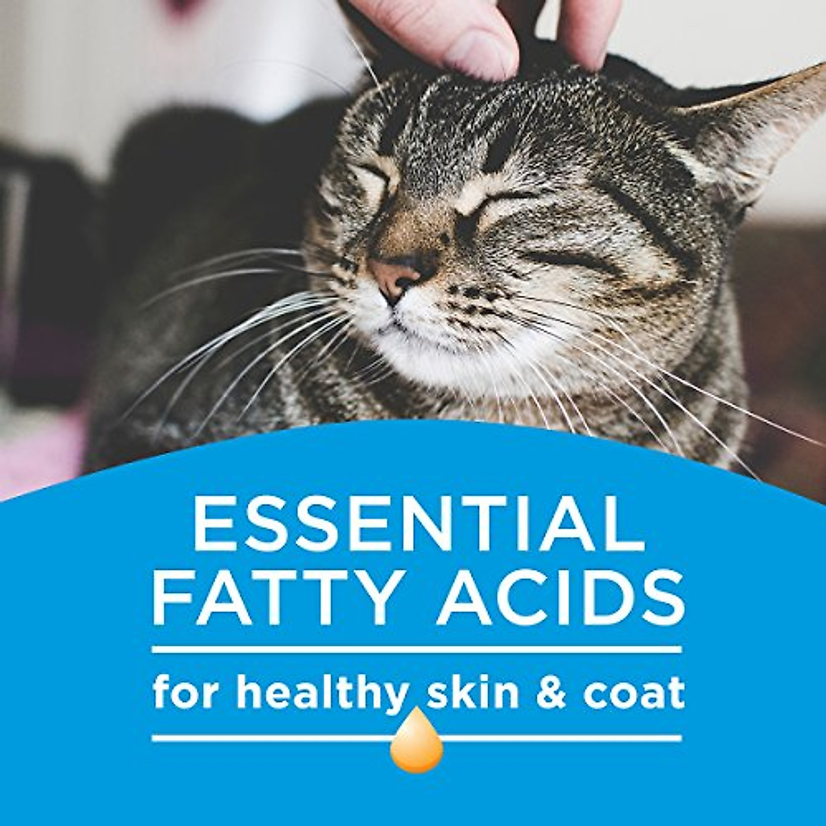 Purina Cat Chow High Protein Dry Cat Food, Complete - 22 lb. Bag