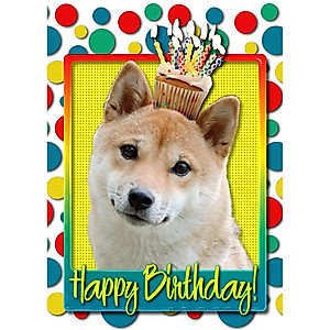 CafePress Birthday Cupcake Shiba Inu Folded Greeting Card Glossy