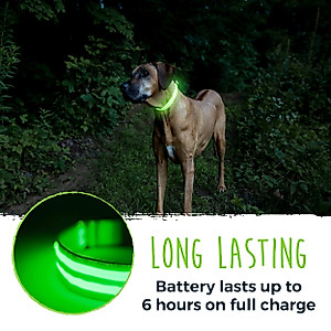 Mighty Paw LED Dog Collar - USB LED Rechargeable - USB Rechargeable Light - High Visibility Glow Strips - Glow Pet Weather Resistant - Enhanced Nighttime Visibility - Light Up Dog Collar - (L, Green)