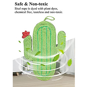 Ferret Scratch Pad - Sisal Cactus Scratcher with Hanging Rope Non-Slip Scratching Pad Rug for Wall or Floor Use, Durable Small Animal Sleeping Mat for Indoor Ferret Grinding Claws (Green Cactus)