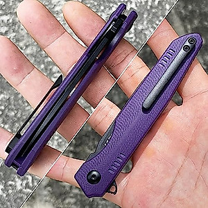 SHOOZIZ HAN312 Pocket Knife Folding Knife for EDC, 3.38" DC53 Steel Blade G10 Handle Folding knife With titanium alloy clip Ceramic ball bearing locating ball Everyday Carry Knife for Men Women (Purple+Black Blade)
