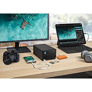 LaCie 2big Dock 40TB External HDD - Thunderbolt and USB4 Compatibility, Data Recovery (STLG40000400)