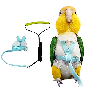 Pet Parrot Bird Harness Leash Adjustable Bird Flying Harness Traction Rope with Cute Wing for Parrots Pigeons Budgerigar Lovebird Cockatiel Mynah Outdoor Training Toy (S, Blue)