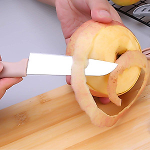 Paring Knife, New Sharp and Durable Fruit Knife with Protective Cover, Suitable for Most Types of Vegetables, Fruits and Meat,6 Pieces (pink, Blue, Green,black,yellow,red)