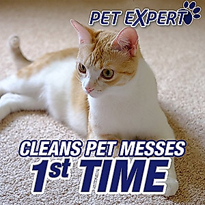 Resolve Pet Expert High Traffic, Carpet Foam, 22 Oz (Pack of 2)